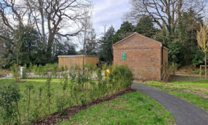 Treetops, Oxshott - urbanspec
